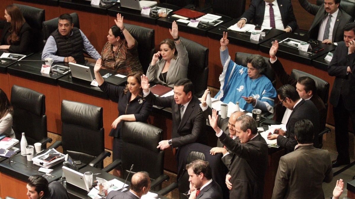 Cámara De Senadores El Heraldo De México